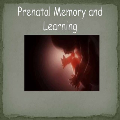 Prenatal memory and learning | PPT