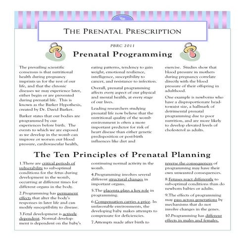 Prenatal prescription | PDF