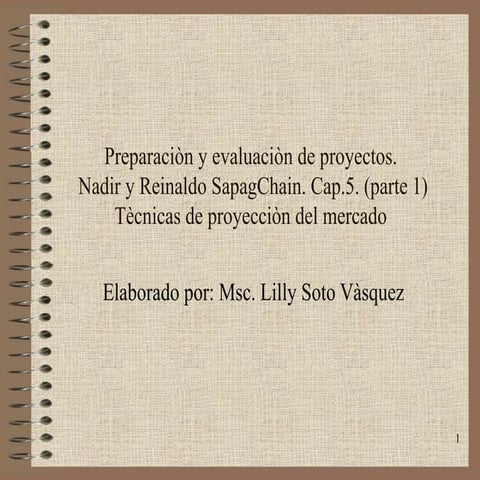 Preparacion y evaluacion de proyectos. cap.6 | PPT