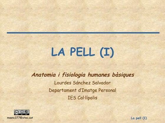 La pell | PPT | Skin and Dermatology | Diseases and Conditions