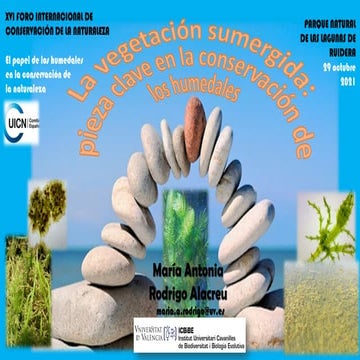 Macrofitas acuaticas sumergidas conservacion | PDF