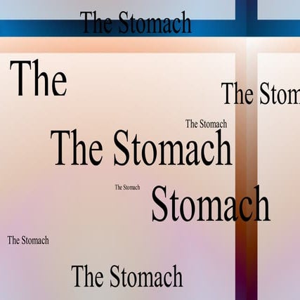 Presentation 1 stomach | PPT