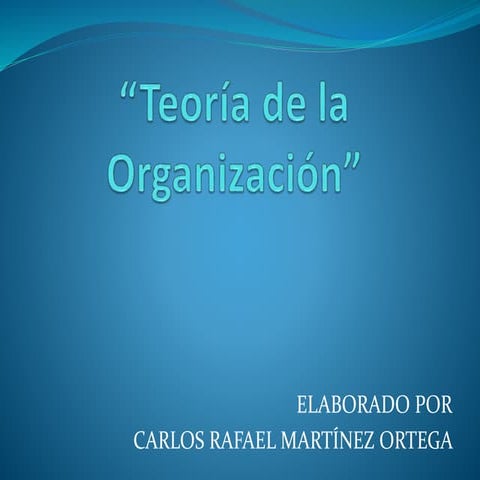5 Teoría De La Organización