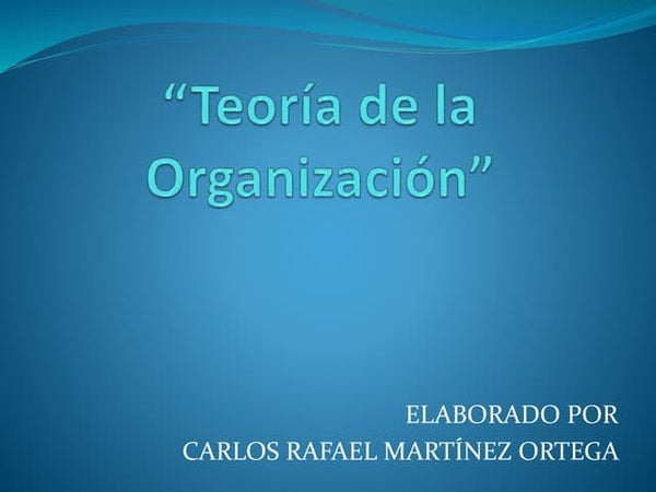 5 Teoría De La Organización
