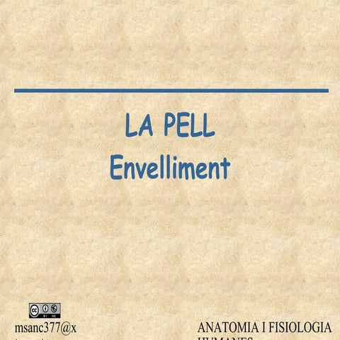 La pell: envelliment | PPT