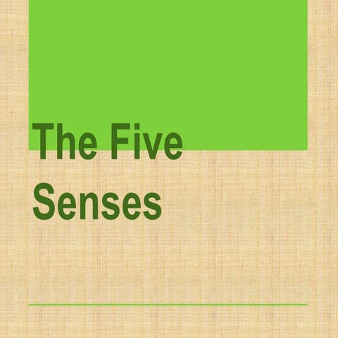 Preschoollesson3 fivesenses | PPT