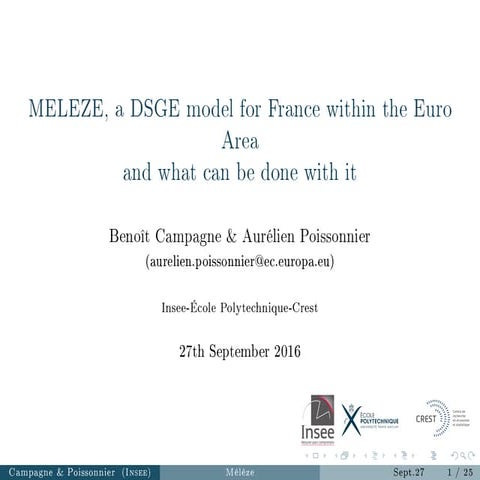 Meleze DSGE model | PDF