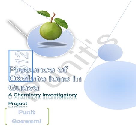 Presence_of_oxalate_ions_in_Guava_Chemis.pdf