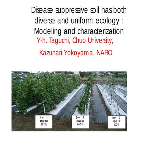 Disease suppressive soil has both diverse and uniform ecology ...