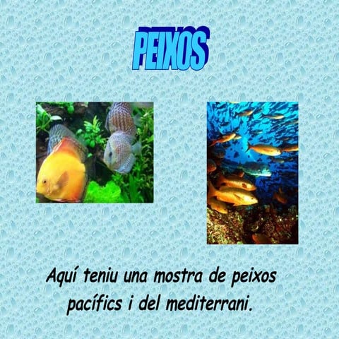 ELS PEIXOS | PPT