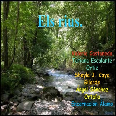 Els Rius | PPT
