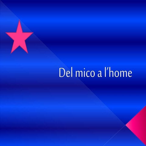 Del mico a l'home | PPT