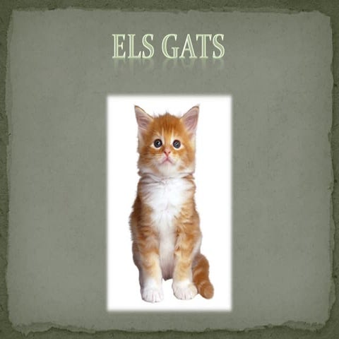 Els gats | PPT