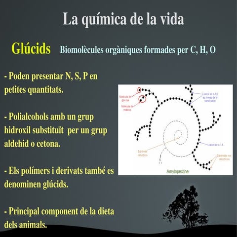 La química de la vida | ODP