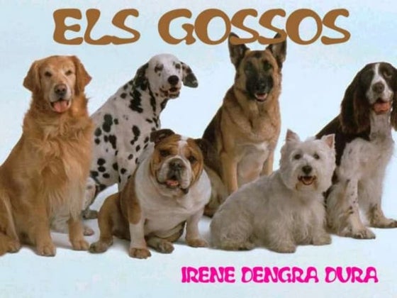 Els gossos | PPTX