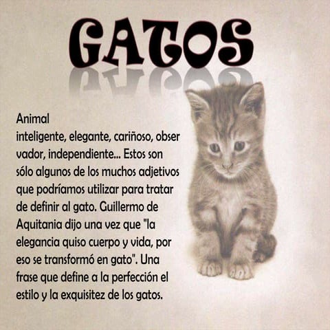 Los gatos | PPTX