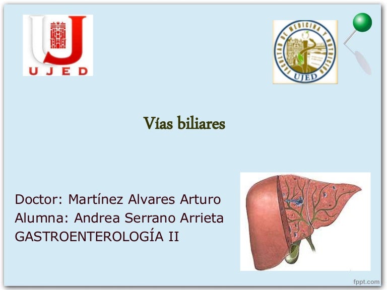 vías biliares ANATOMÍA Y FISIOLOGÍA (GASTROENTEROLOGIA)