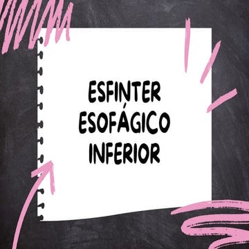 Esfinter Esofagico Inferior Anatomia Humana | PDF