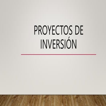 Presentación sobre proyectos de inversión.pptx
