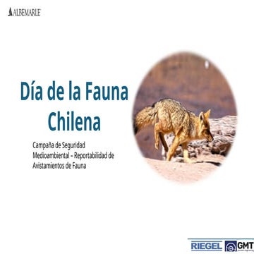 Presentación - Día de la Fauna Chilena.pptx