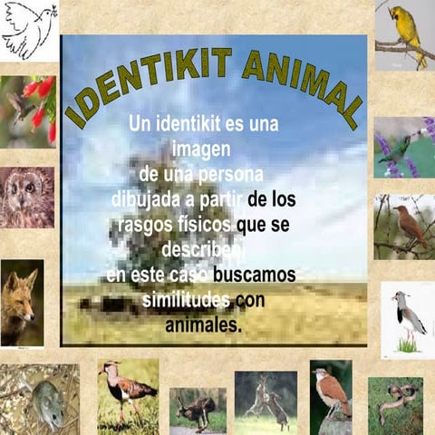 Presentación Identikit | PPT