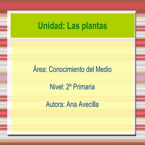 PresentacióN Las Plantas 5 Diapositivas | ODP