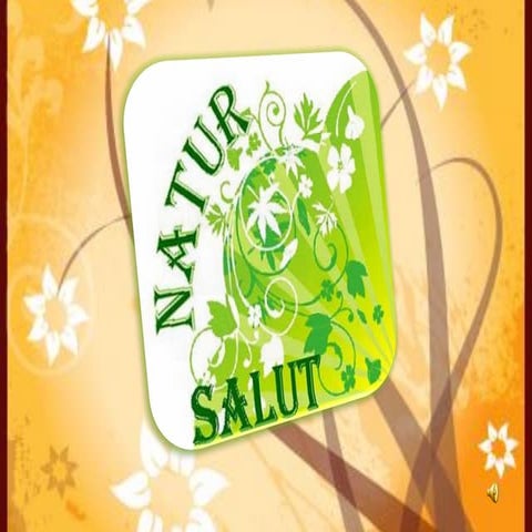 POWER FLASH NATUR SALUT | PDF