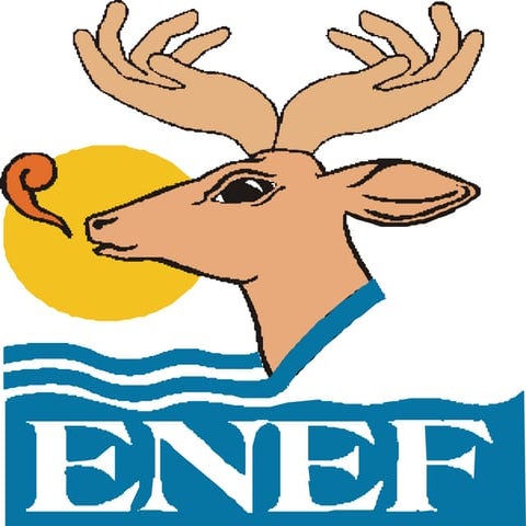 Enef | PPT