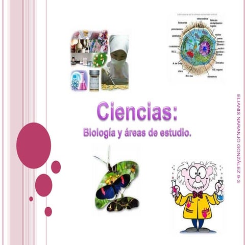 Ramas de la biología | PPTX