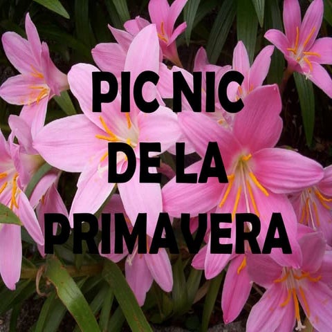 Primavera | PPTX