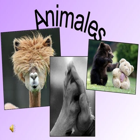 Animales | PPT