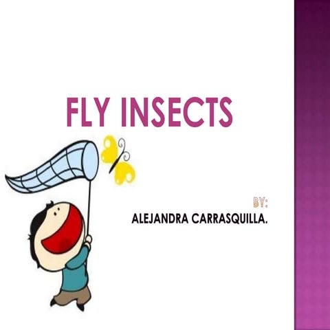 Presentación1 | PPTX | Birdwatching | Hobbies & Interests