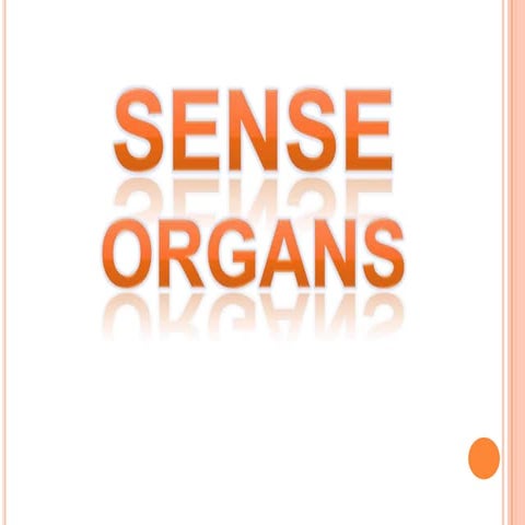 Sense Organs | PPTX | Ear, Nose and Throat Conditions | Diseases and ...