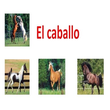 diapositivas caballos | PPTX