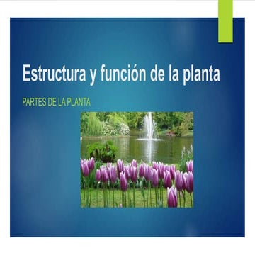 Presentación ciencias naturales tercer grado | PPTX | Agriculture ...