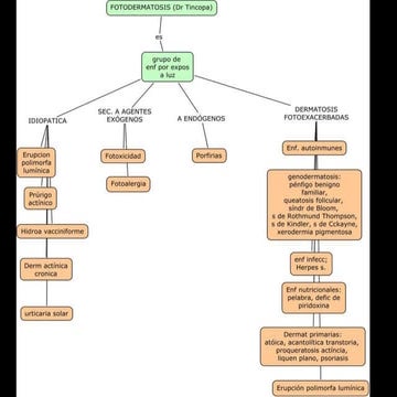 FOTODERMATOSIS | PPTX