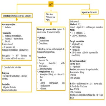 ACV RESUMEN de la clase con el doctor Mo | PPTX