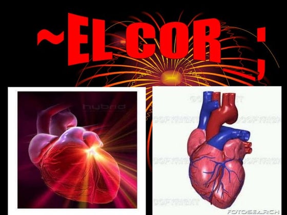 Tasca el funcionament del cor | PDF