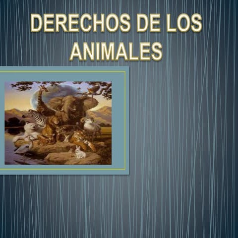 Derechos De Los Animales | PPT