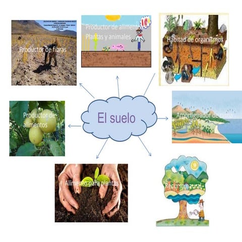 Presentación 1 el suelo | PPTX