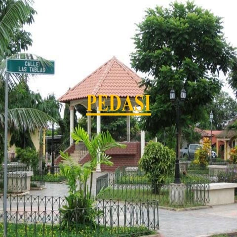 Presentación1 pedasi | PPT