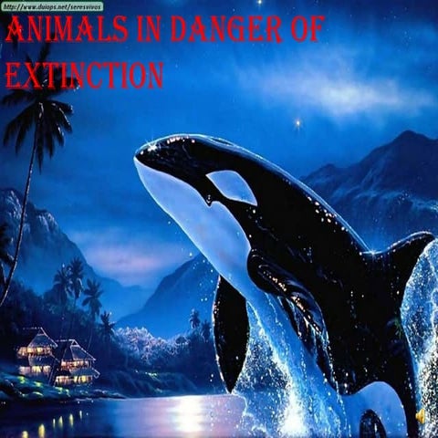 Animals in Danger | PPT