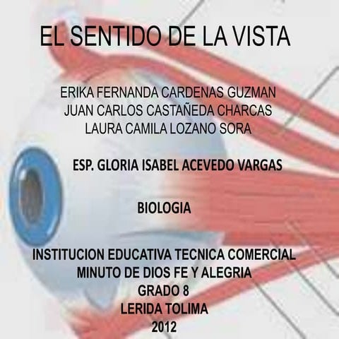 el sentido de la vista | PPTX