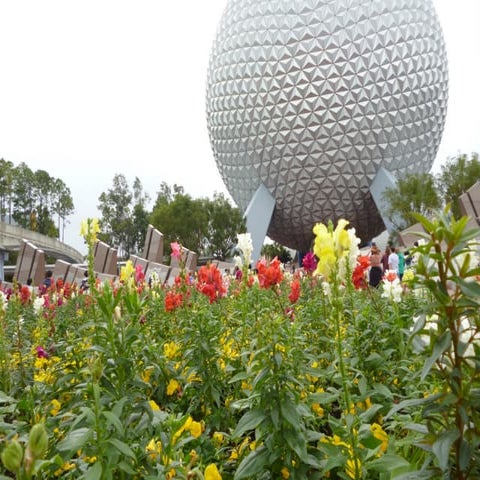 Epcot | PPT