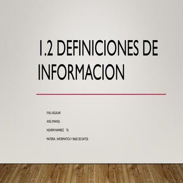 información definicion.pdf