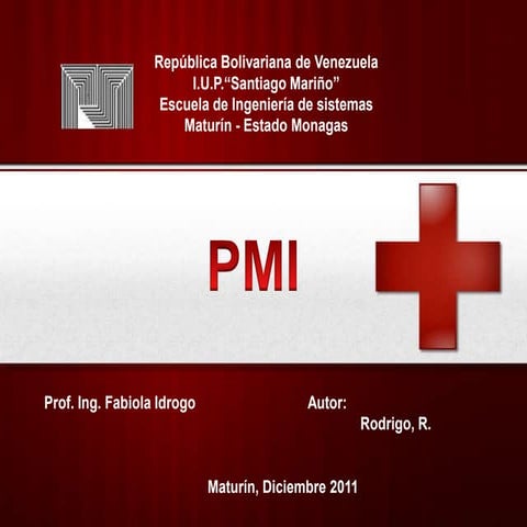 Mapa conceptual de pmi | PPTX