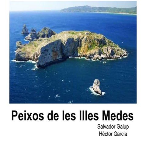 illes medes | PPTX