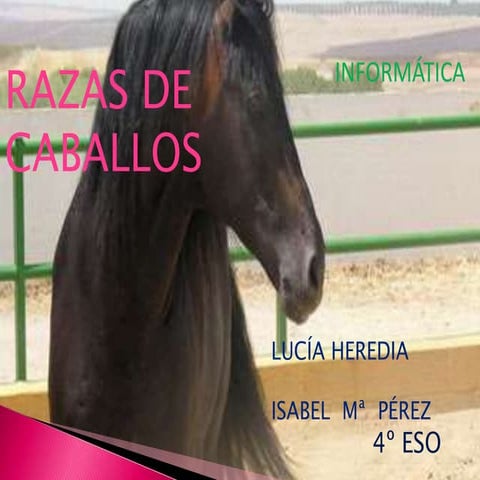 Razas de caballos | PPTX