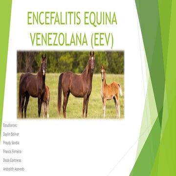 ENCEFALITIS EQUINA VENEZOLANA MEDICINA VET | PPTX
