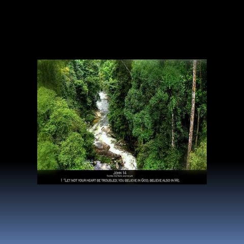 Describing Nature | PPTX